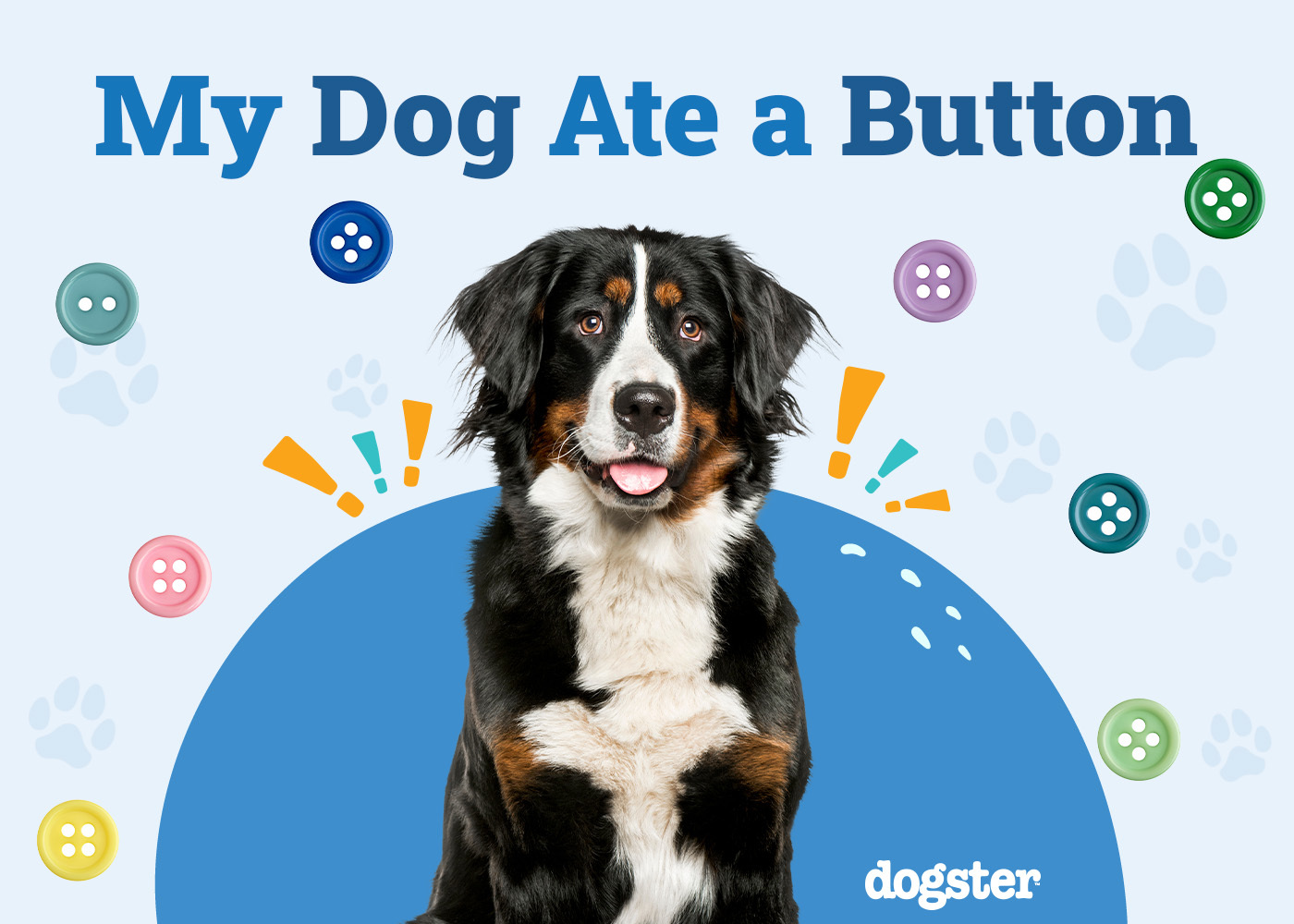 My Dog Ate a Button: What to Do, Treatment & Prevention (Vet Answer ...