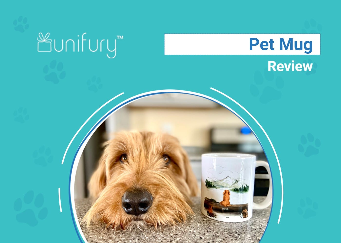 Unifury Mug Review 2026: An Expert's Breakdown — Dogster
