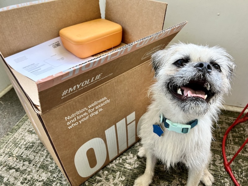 How Much Does Ollie Fresh Dog Food Cost? 2026 Price Guide — Dogster