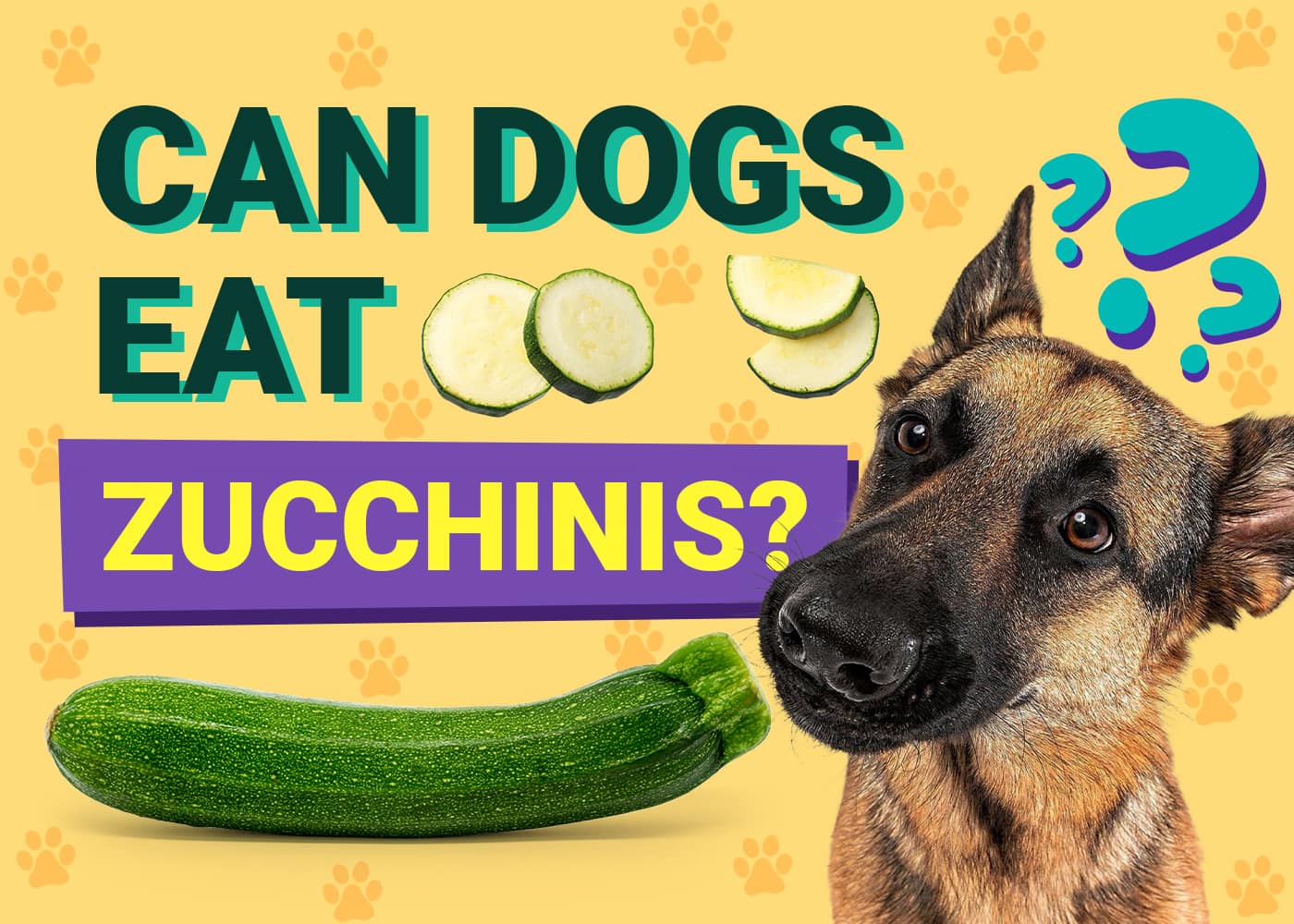 Can Dogs Eat Zucchinis? Vet-Verified Info, Benefits & Risks — Dogster