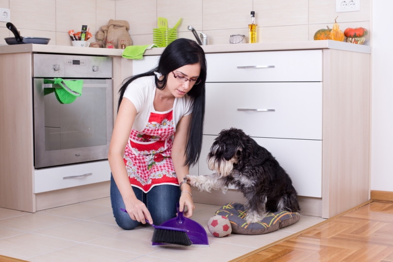 Why Is My Dog Pooping in the House? 8 Vet-Reviewed Reasons — Dogster